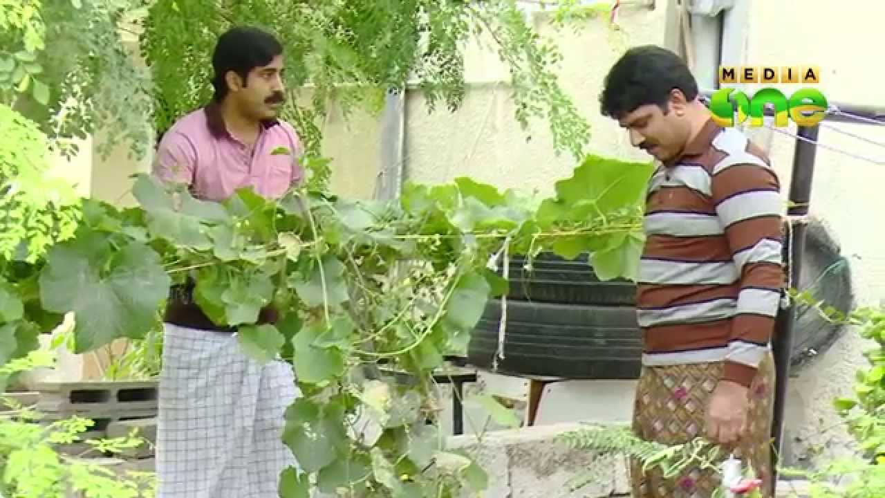 The Farm Kitchen in Umm al-Quwain - YouTube