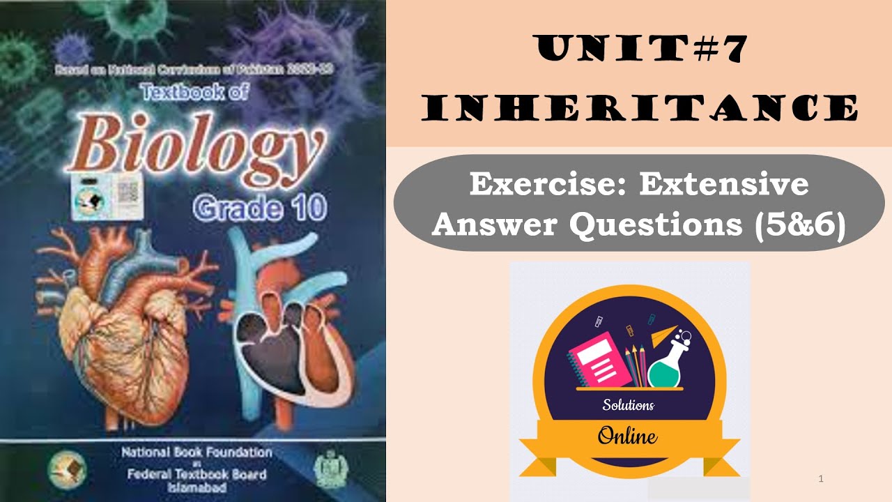 Unit 7 Inheritance| Extensive Questions Q5 & Q6 Explained| FBISE ...
