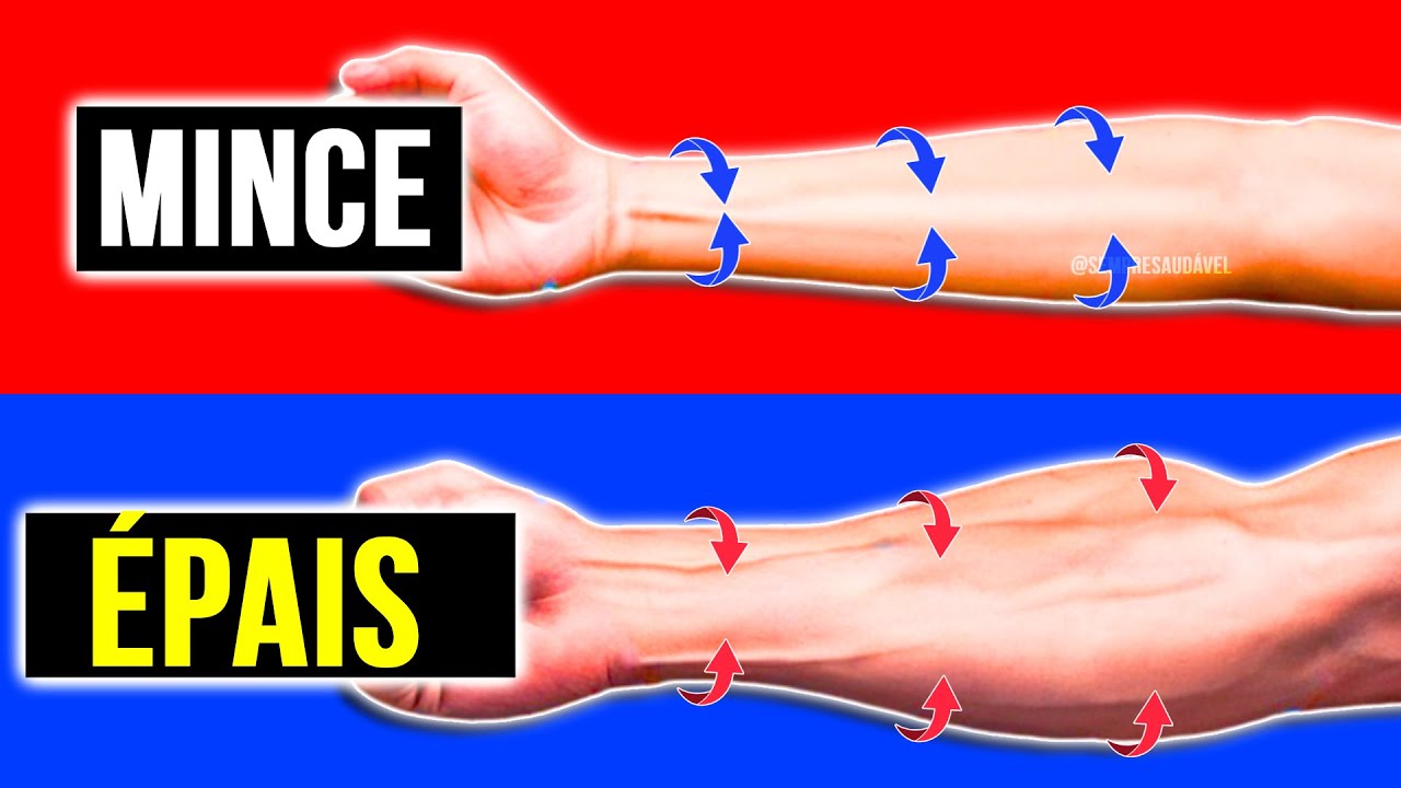 Seulement 3 exercices pour avoir des avant bras GIGANTESQUES ! - YouTube
