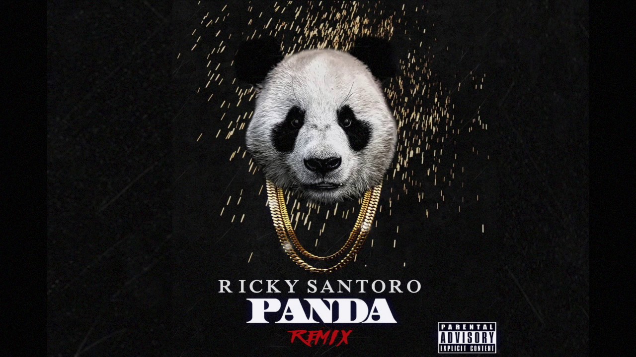 PANDA ( REMIX ) RICKY SANTORO - YouTube