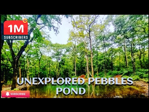Biodiversity Park in Mollem - a hidden paradise full of wildlife # ...