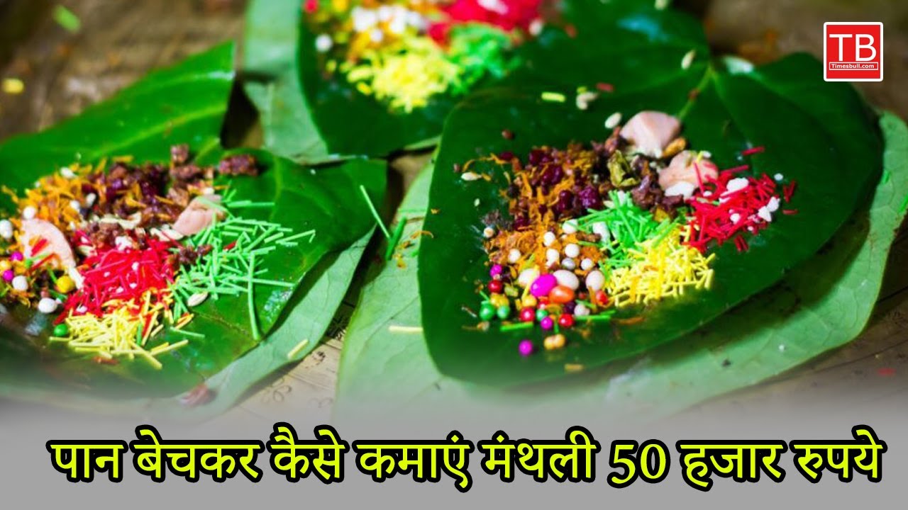 Luxury Pan Palace Business: Earn ₹50K Monthly by Selling Paan | Start a ...