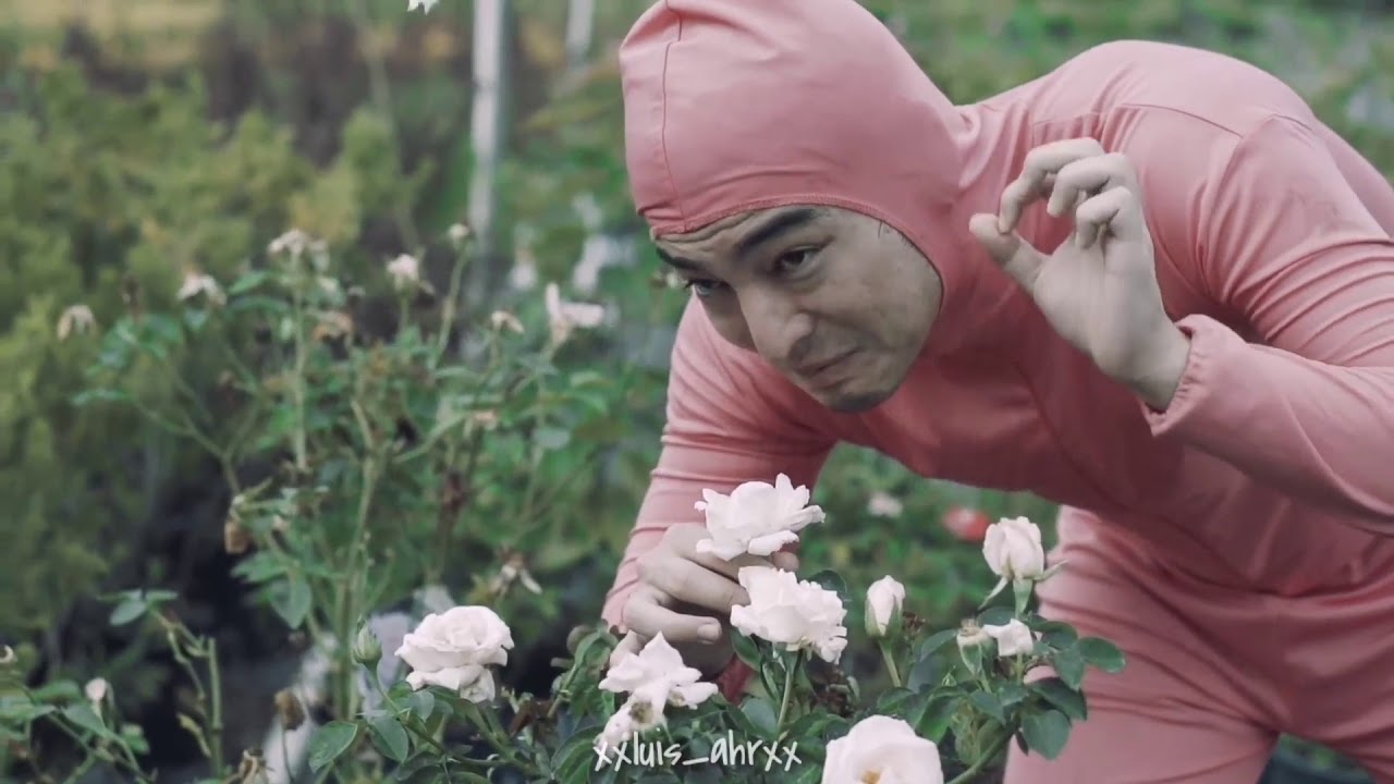 Pink Guy - STFU (Sub. Español) - YouTube