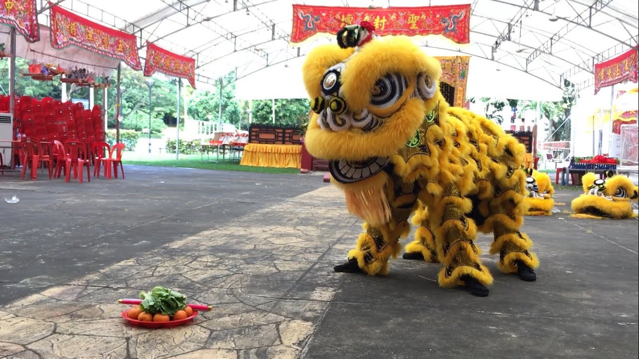 善育龍獅體育會 Shan Yu Lion Dance Cai Qing Performance at Sheng Feng Tan 10 ...