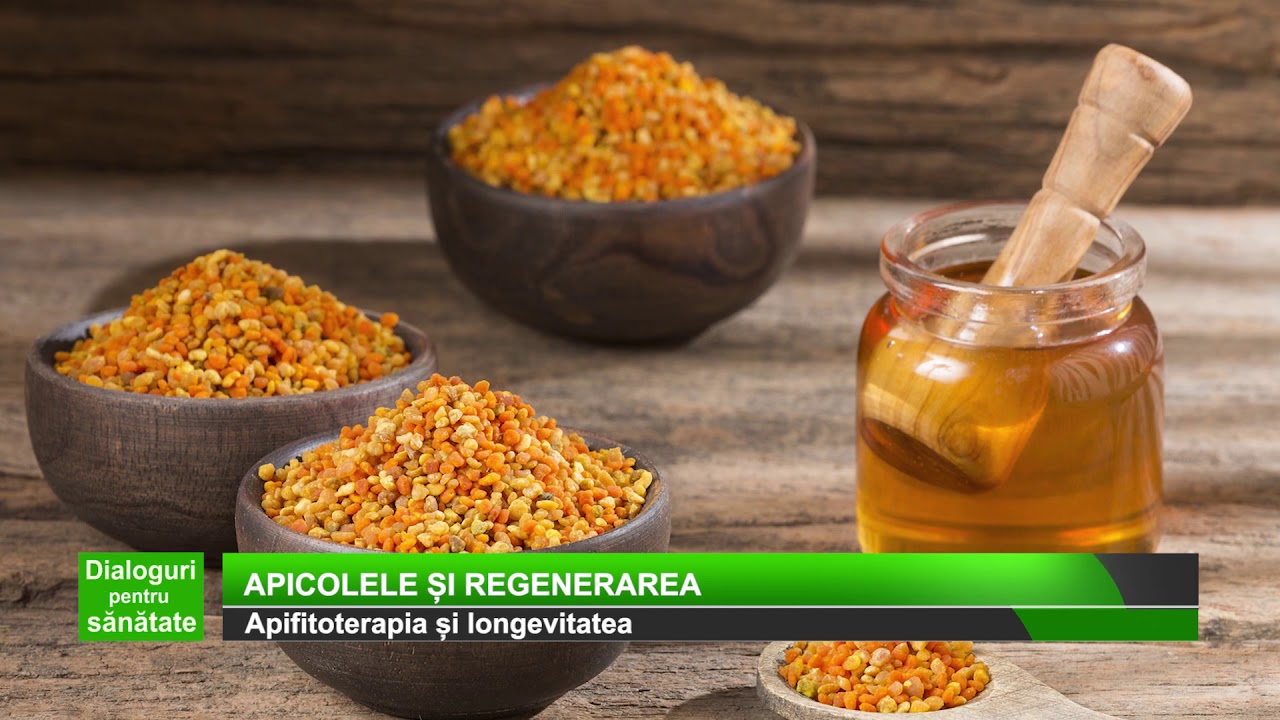 Apicolele si cresterea longevitatii. De ce traiesc apicultorii mai mult ...