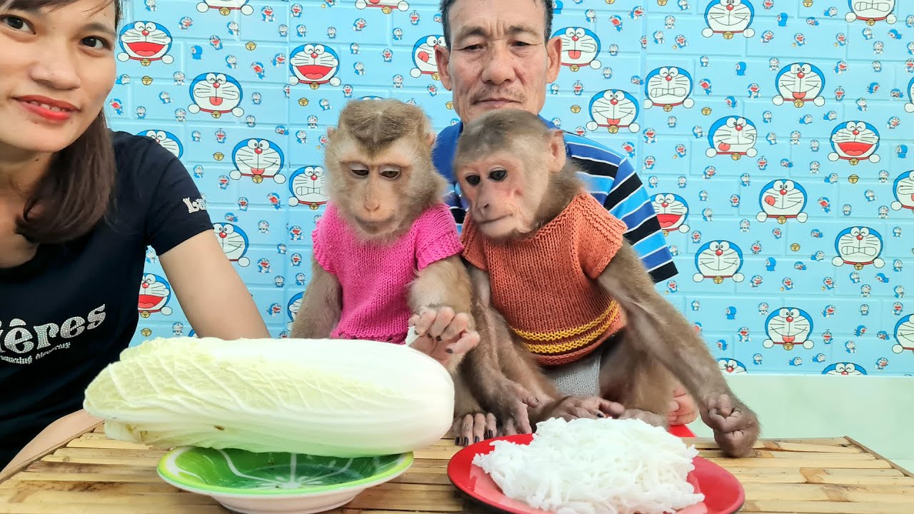 Baby monkey like to eat white cabbage with vermicelli - YouTube