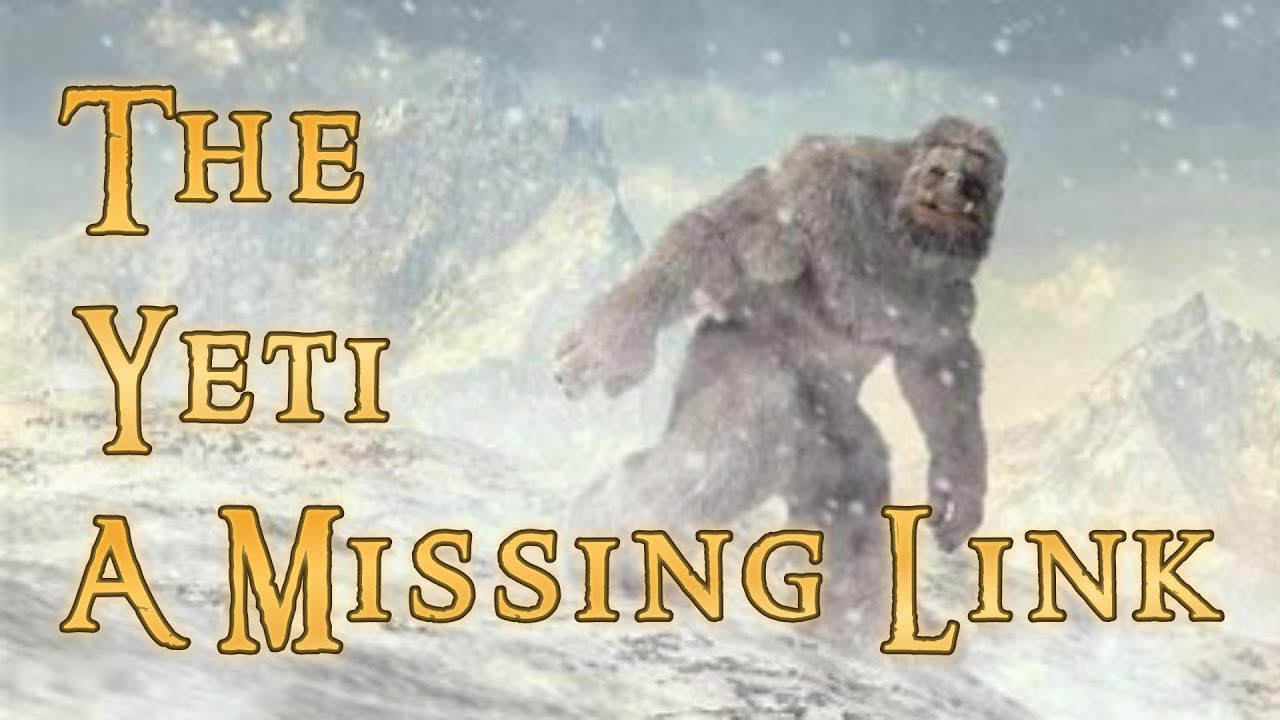 The Yeti: A Missing Link - YouTube