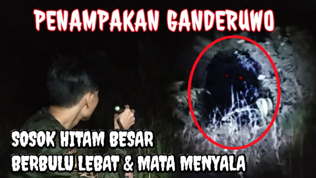 Penampakan Hantu Genderuwo Jelas Asli di Hutan Cartil Bandung - YouTube