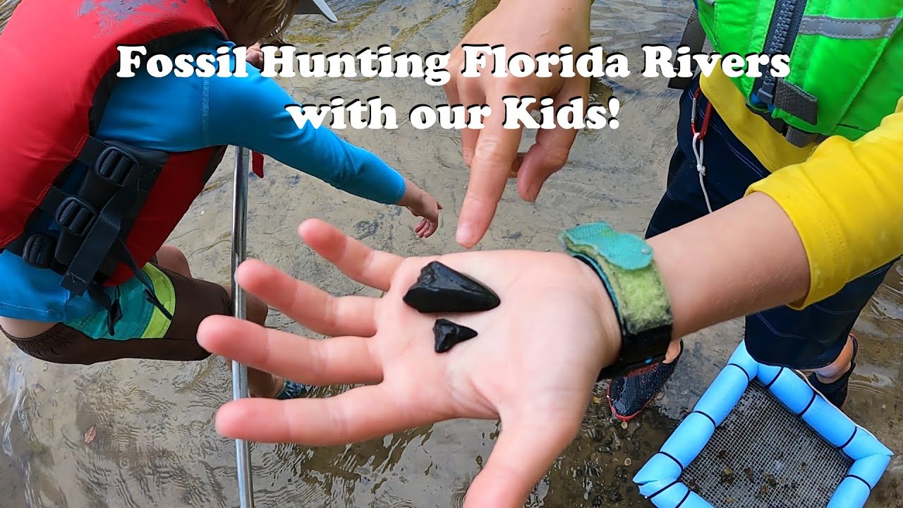 Fossil Hunting Florida Rivers with our Kids! - YouTube