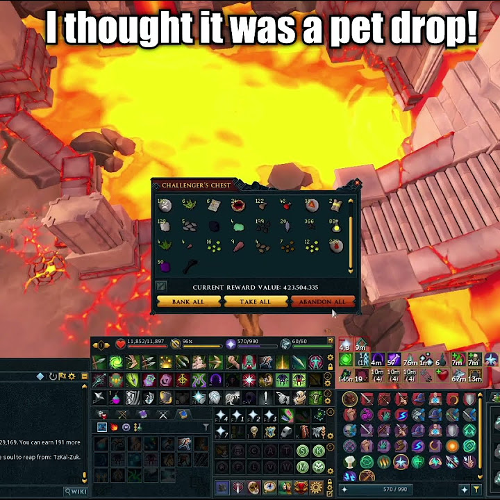 I thought it was a Zuk Pet for my first kill - YouTube