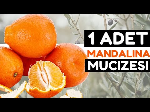 Her Akşam 1 Adet Mandalina Vücudunuza Bunları Yapıyor | Mandalinanın Faydaları Nelerdir?