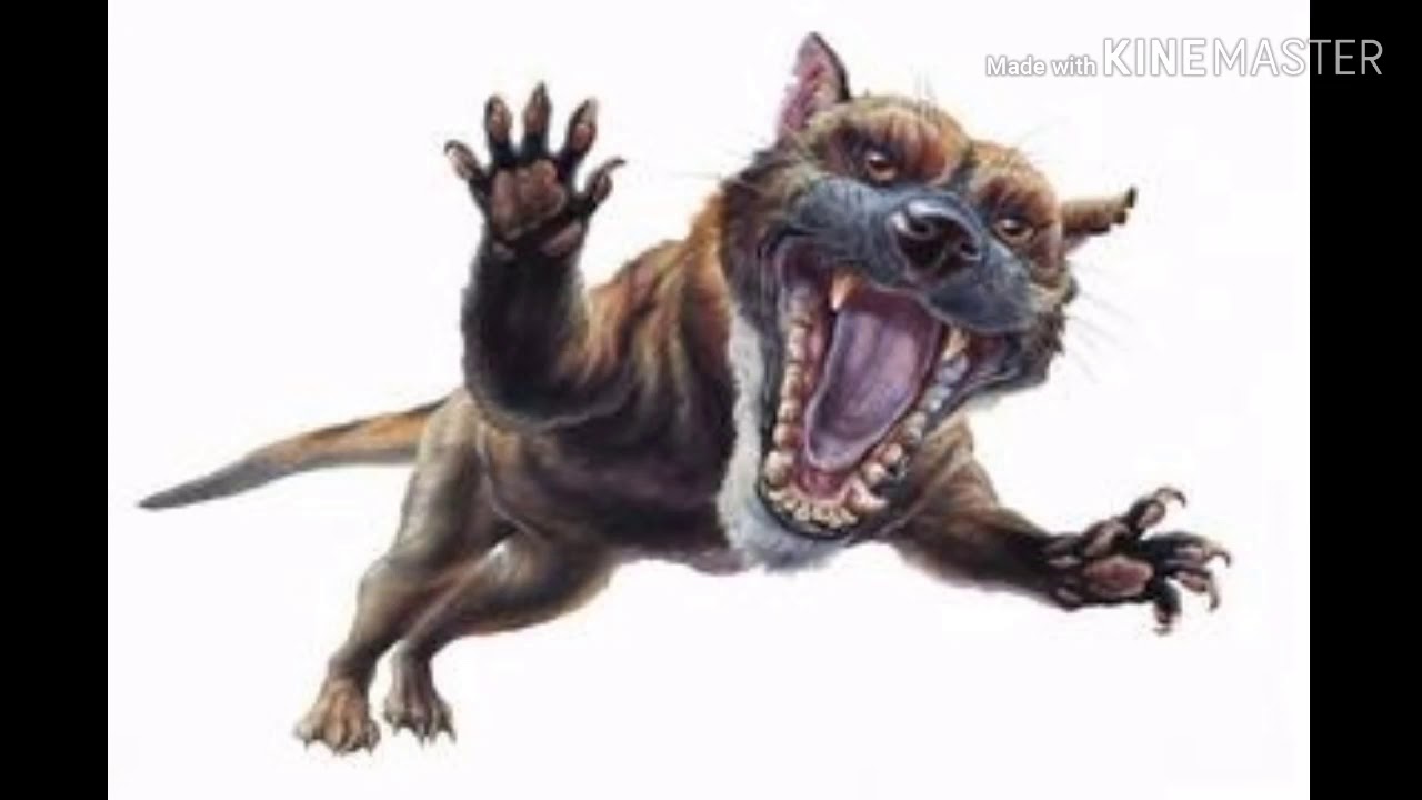 Prehistoric Island: Borhyena Growl - YouTube