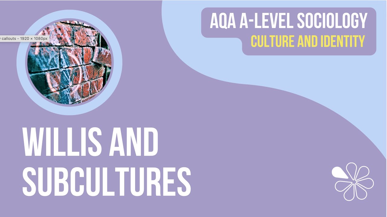 WILLIS ON SUBCULTURES | CULTURE & IDENTITY | AQA A-LEVEL SOCIOLOGY ...