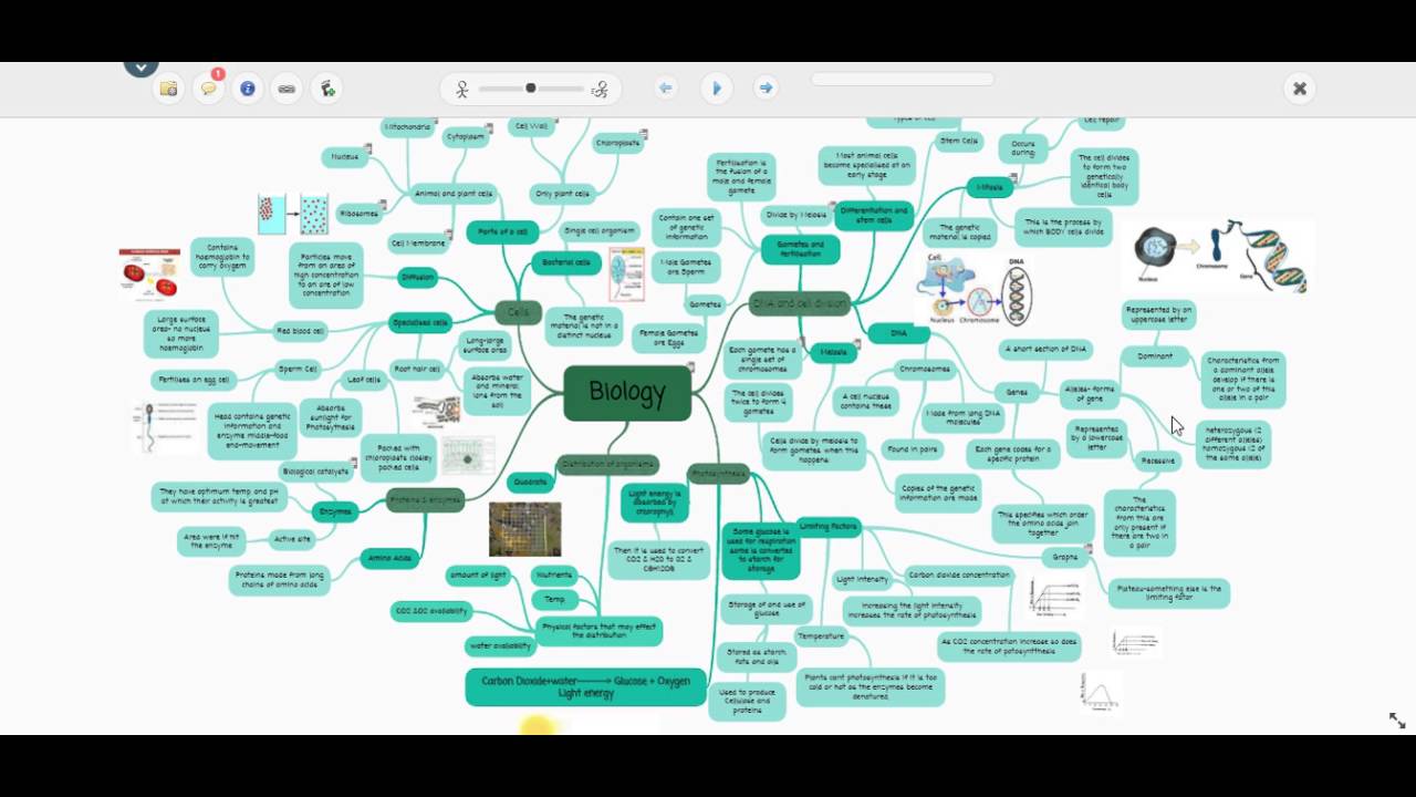How to Use GoConqr - YouTube