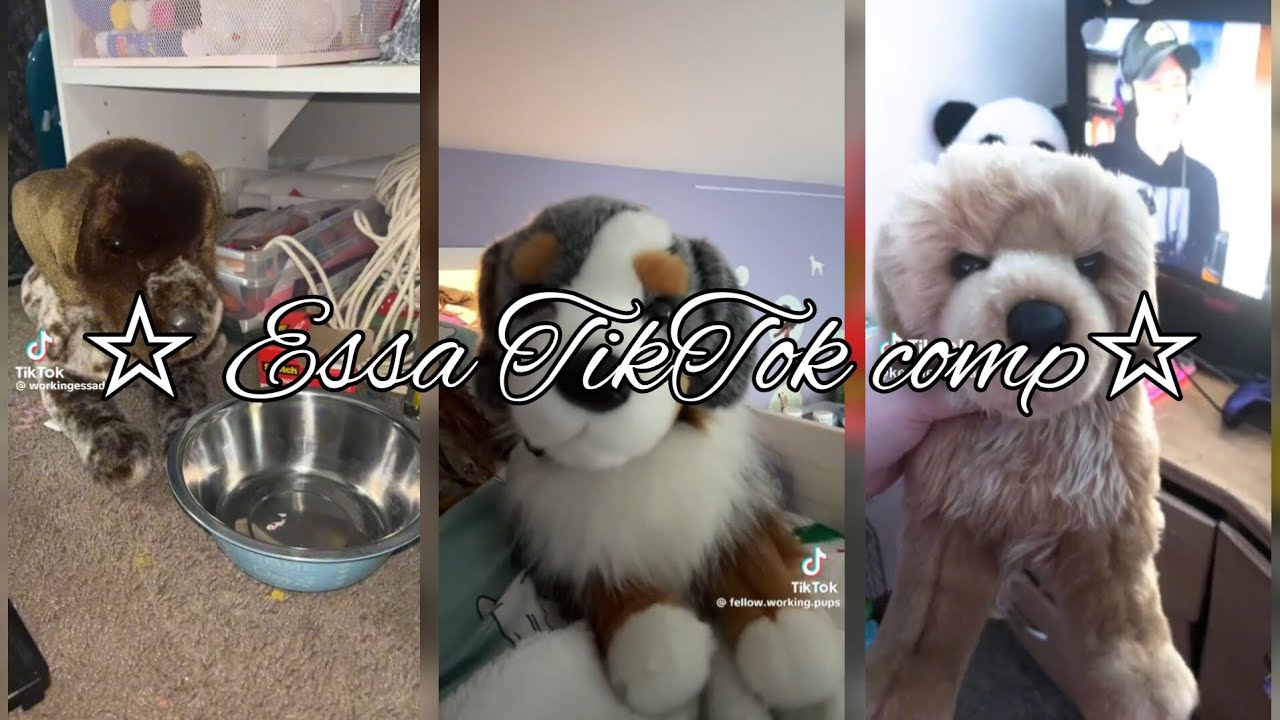 Essa TikTok comp (all credits go to original owners) - YouTube