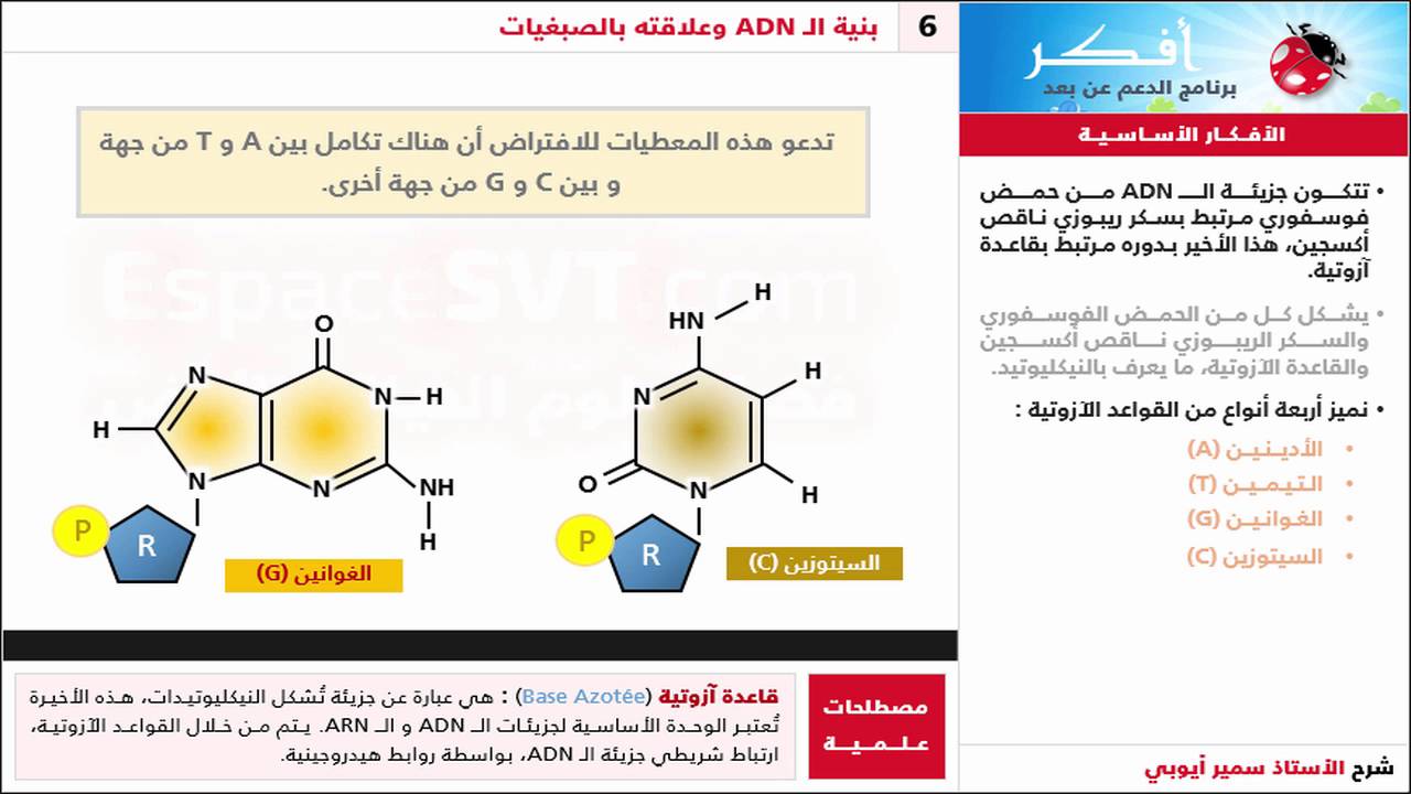 بنية الـ ADN وعلاقته بالصبغيات - Samir AYOUBI - YouTube