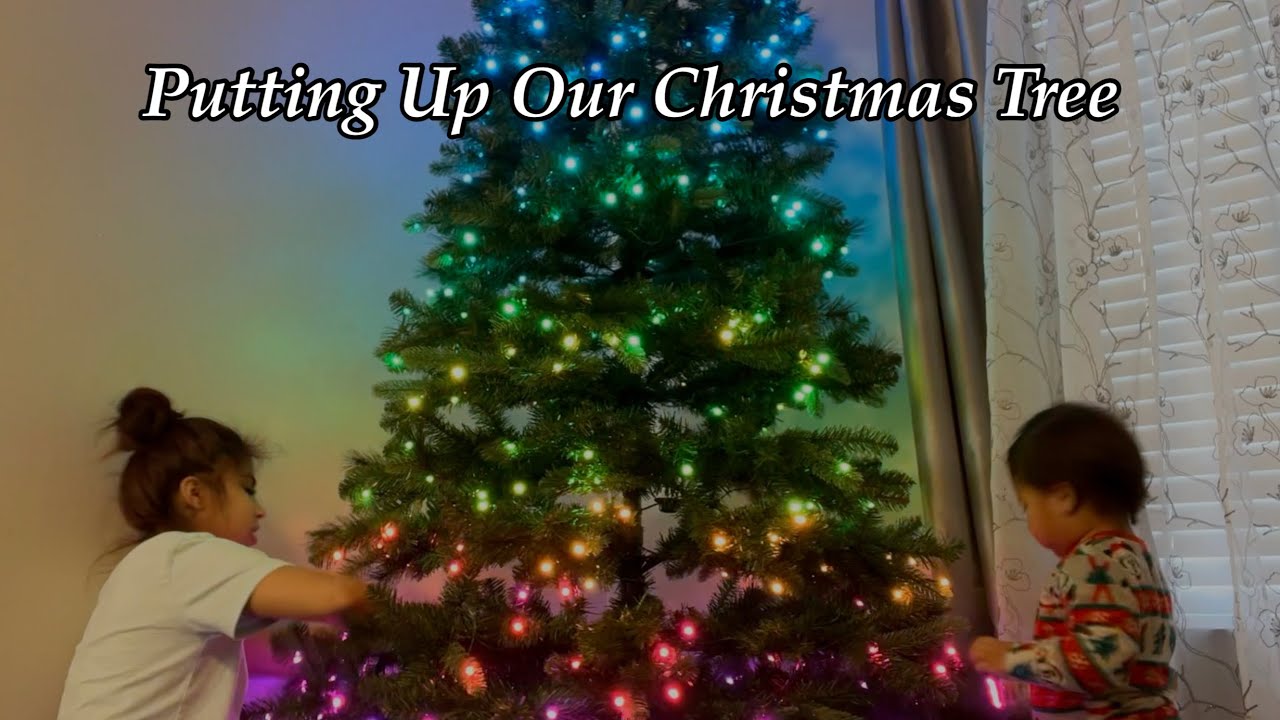 Putting Up Our Christmas Tree - YouTube