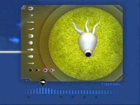Spore GDC 2007: Tidepool phase - YouTube