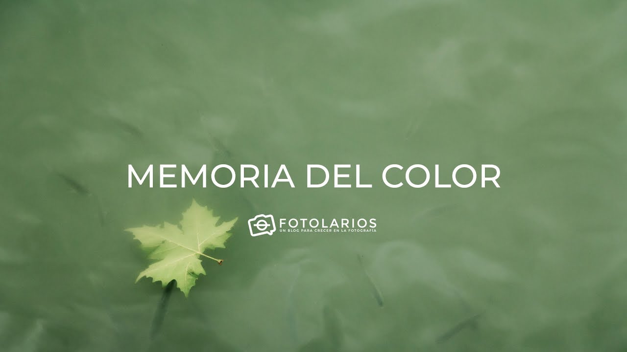 Percepción del color - Memoria del color - YouTube