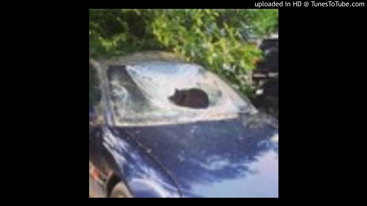 STAN - FLOOD WATERS (FEAT TAZDIED) - YouTube