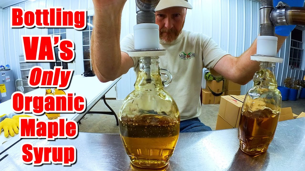 Bottling Virginia's Only Organic Maple Syrup - Step 3 - YouTube