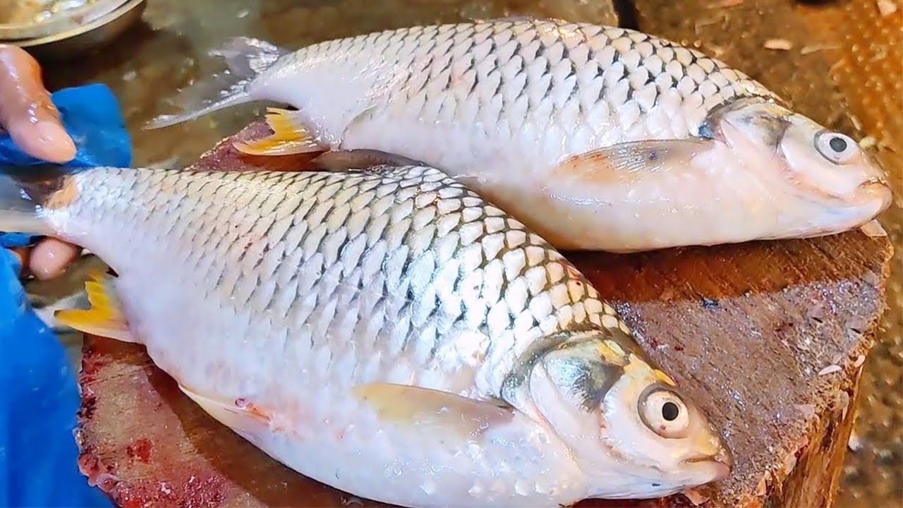 Big Size Puti Fish Cutting Skills Live in Fish Market | Amazing Fish ...