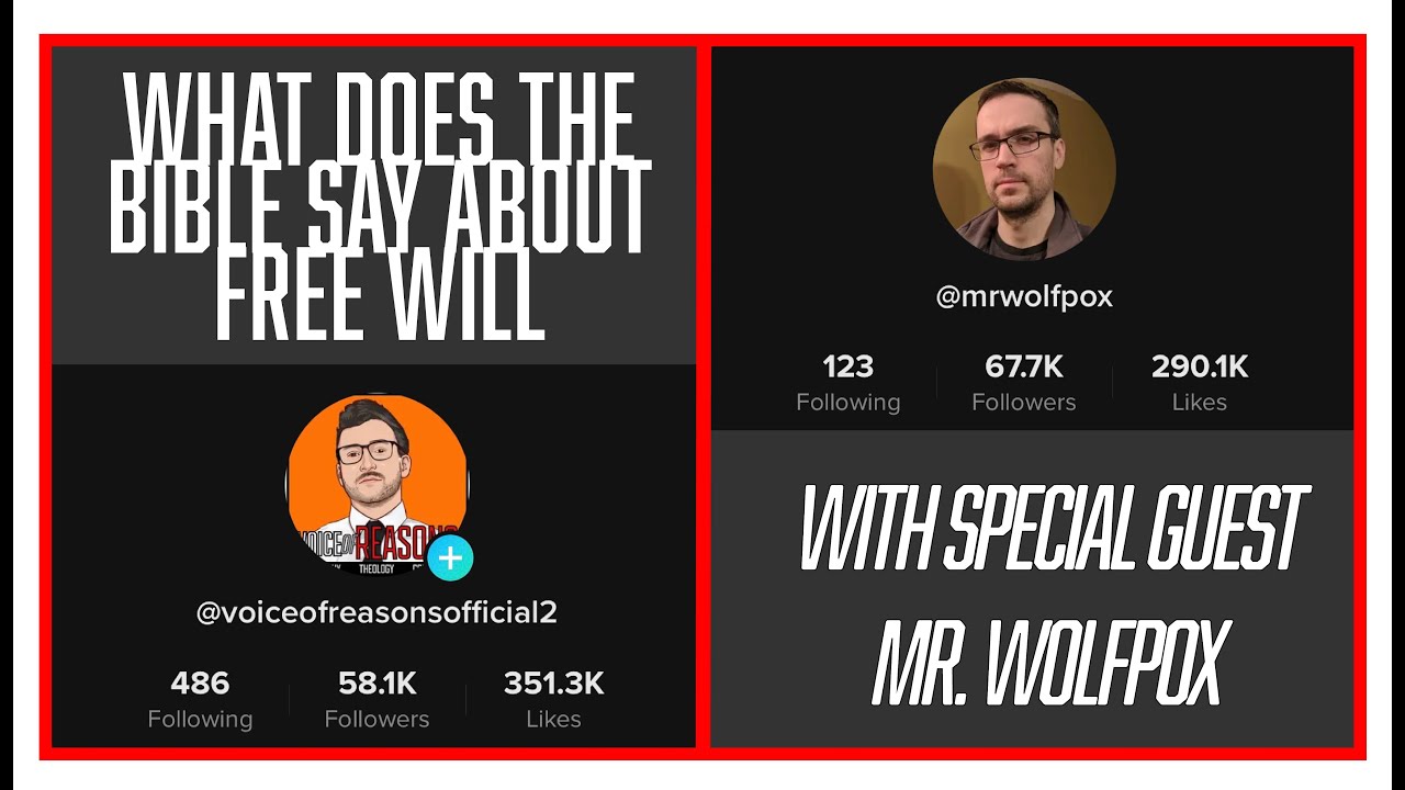 WHAT DOES THE BIBLE SAY ABOUT FREE WILL- with special guest MR. WOLFPOX ...