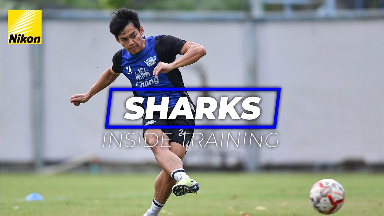 🦈 SHARKS Inside Training : SHOOTING PRACTICE 🎯 - YouTube