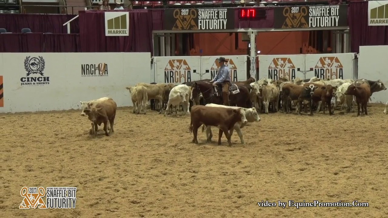Opus Cat Olena Herd Work 2017 Snaffle Bit Futurity Clay Volmer - YouTube