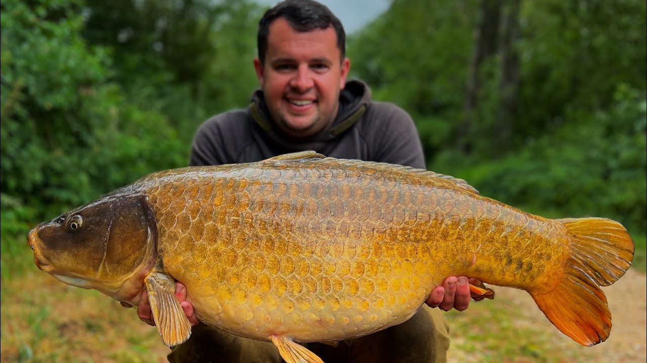 ANOTHER NEW PERSONAL BEST!!!! One of Oxfordshires biggest Ghost carp ...