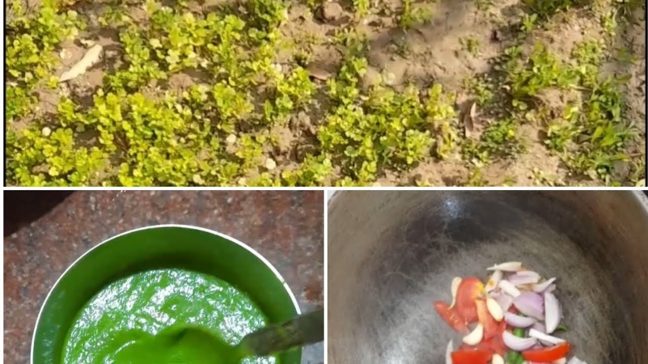 My first long video😊🤗 //Dhaniya Patta ki chatni kaise banye?//fresh ...