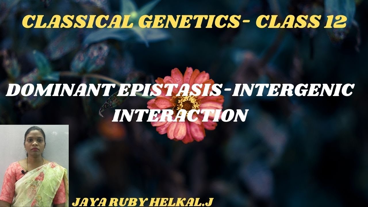 CLASSICAL GENETICS- INTERGENIC INTERACTION- DOMINANT EPISTASIS CLASS 12 ...