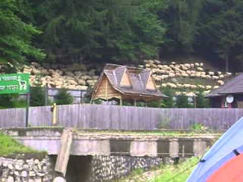 TRANSHUMANTA LA ROMANI - YouTube