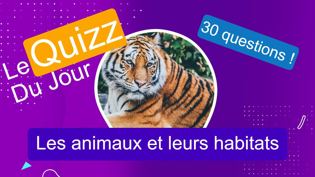 Quizz - Les animaux et leurs habitats - YouTube