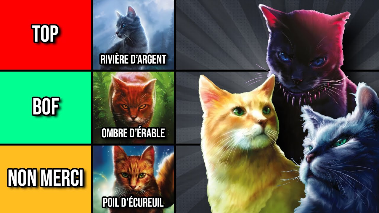 Tier List : je classe les personnages LGDC - La Guerre des Clans - YouTube