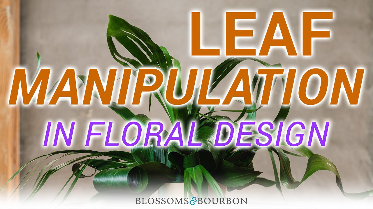 Leaf Manipulation in Floral Design | Episode 40 of Blossoms and Bourbon - YouTube
