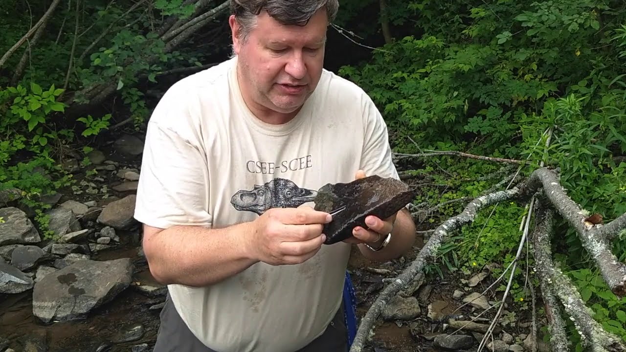 How to Catch Aquatic Insects - YouTube