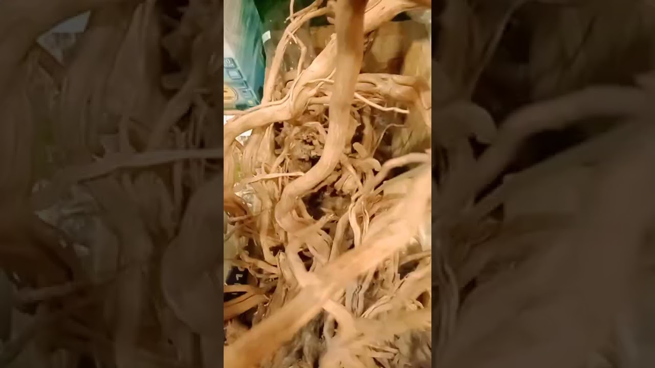 Aquasoil Twitty wood Dragon Stone#asmr#satisfying sounds#reels#woodwork ...