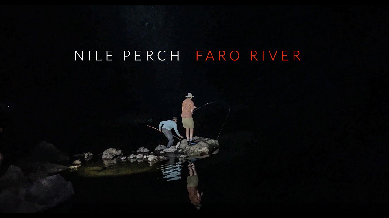 Nile Perch on the Faro River - YouTube