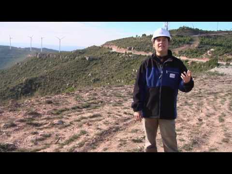 How Much Do Wind Energy Project Managers Make
