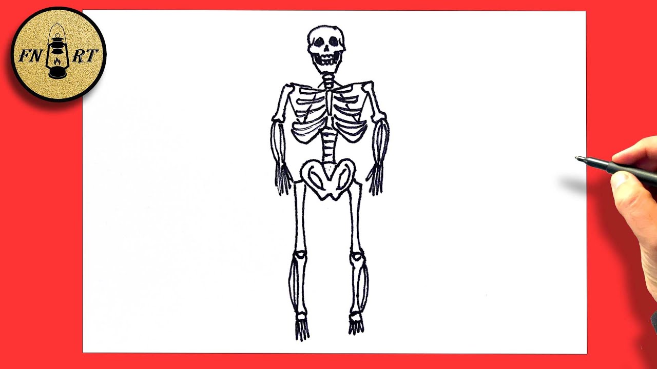 How to draw a skeleton easy for beginners - YouTube