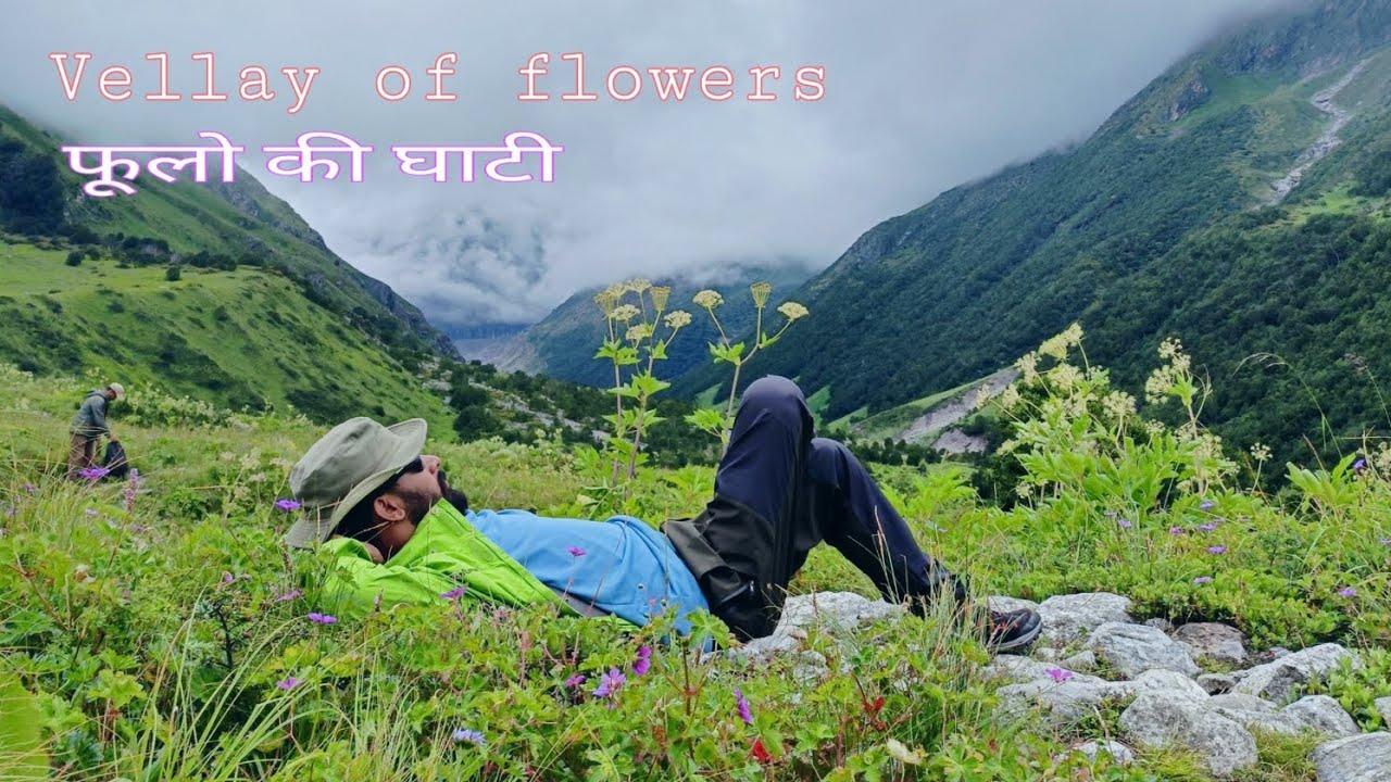 vellay of flowers,,फूलो की घाटी चमोली उत्तराखण्ड,#explore #uttarakhand ...