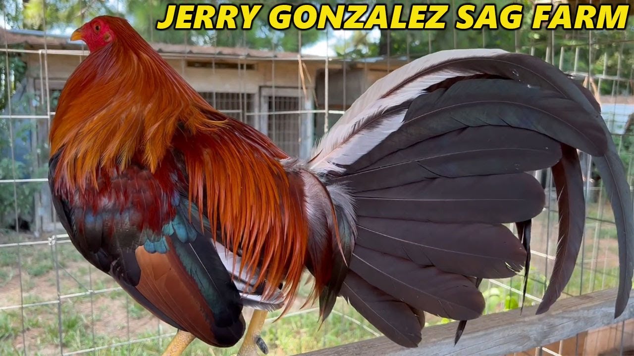 Jerry Gonzalez Joe Goode Clement Grey Sweater Kelso Asil SAG FARMS ...