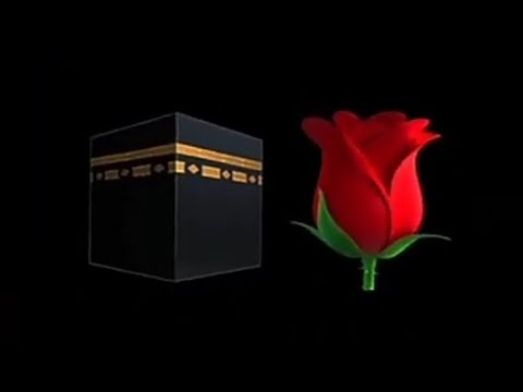 🕋🖤 #yeni sounds app, status üçün yazılı videolar