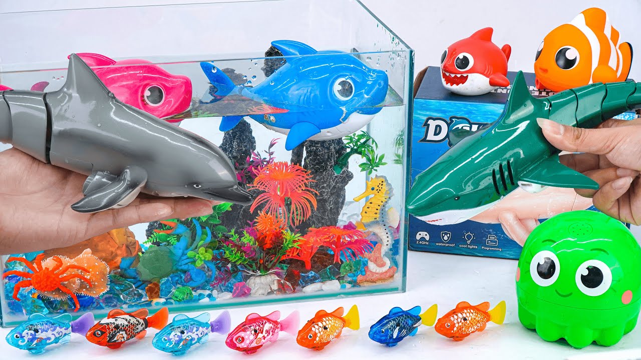 [Toy asmr] 🐬RC Dolphin & Baby Shark & Zuru Robo Fish & Harp's Aquarium ...
