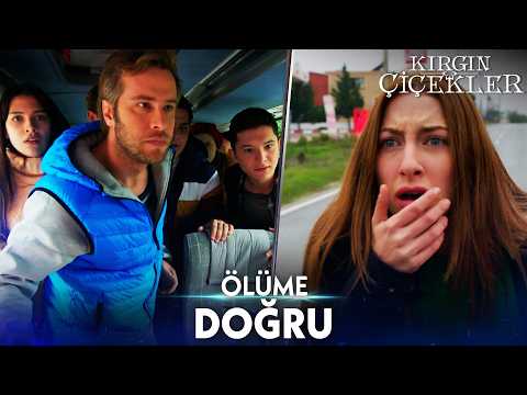 Sonu Felaketle Biten Piknik Yolculuğu - Kırgın Çiçekler Kolaj