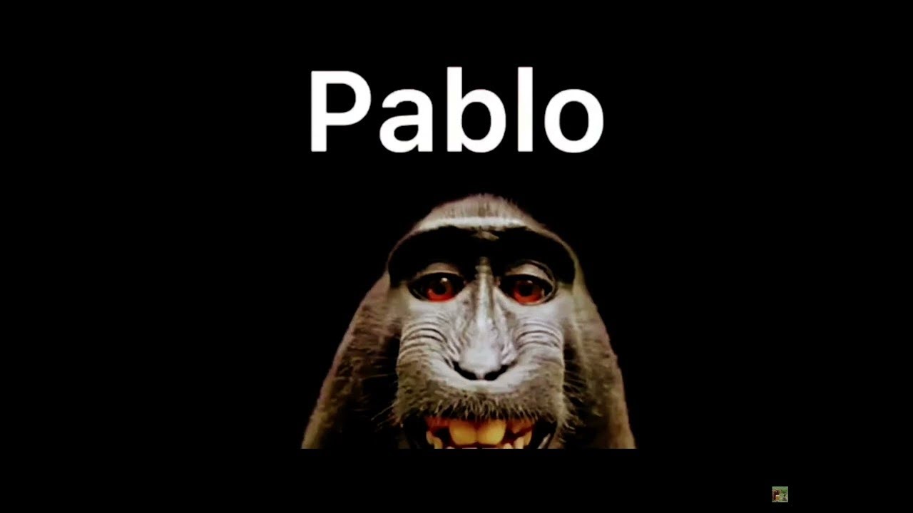 pablo - YouTube