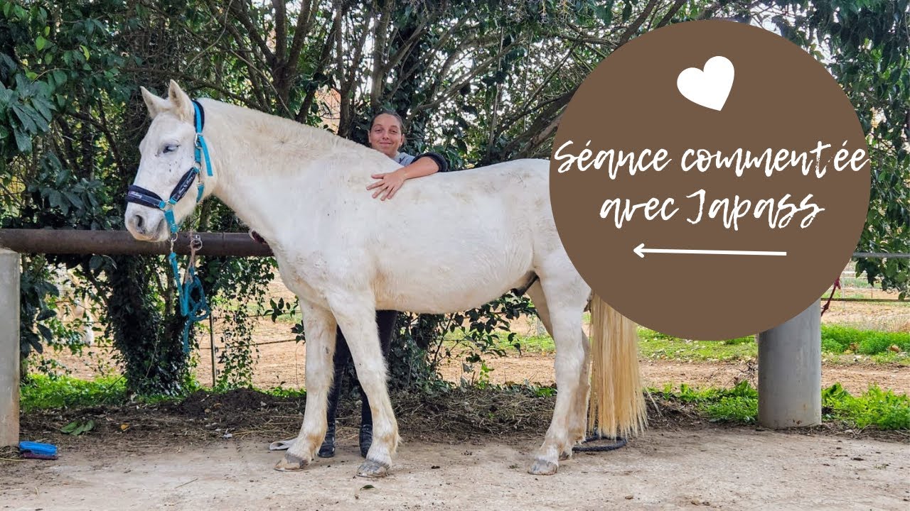 Séance commentée avec Japass 🐴 - YouTube