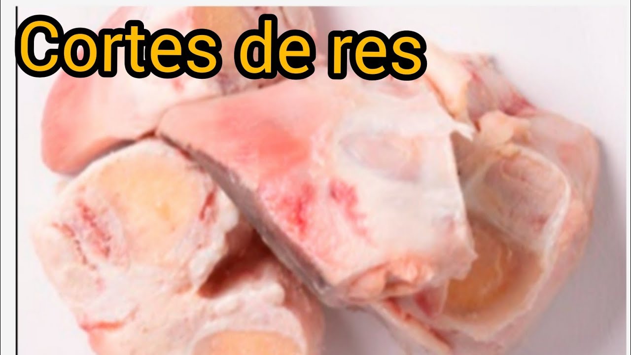 CONOCE EL SECRETO DE C MO CORTAR UNA PATA DE RES shorts YouTube conoce-el-secreto-de-c-mo-cortar-una-pata-de-res-shorts-youtube