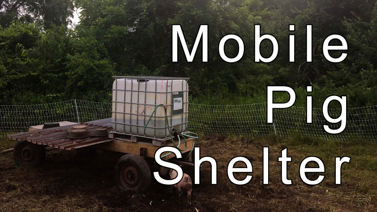 Mobile Pig Shelter - YouTube